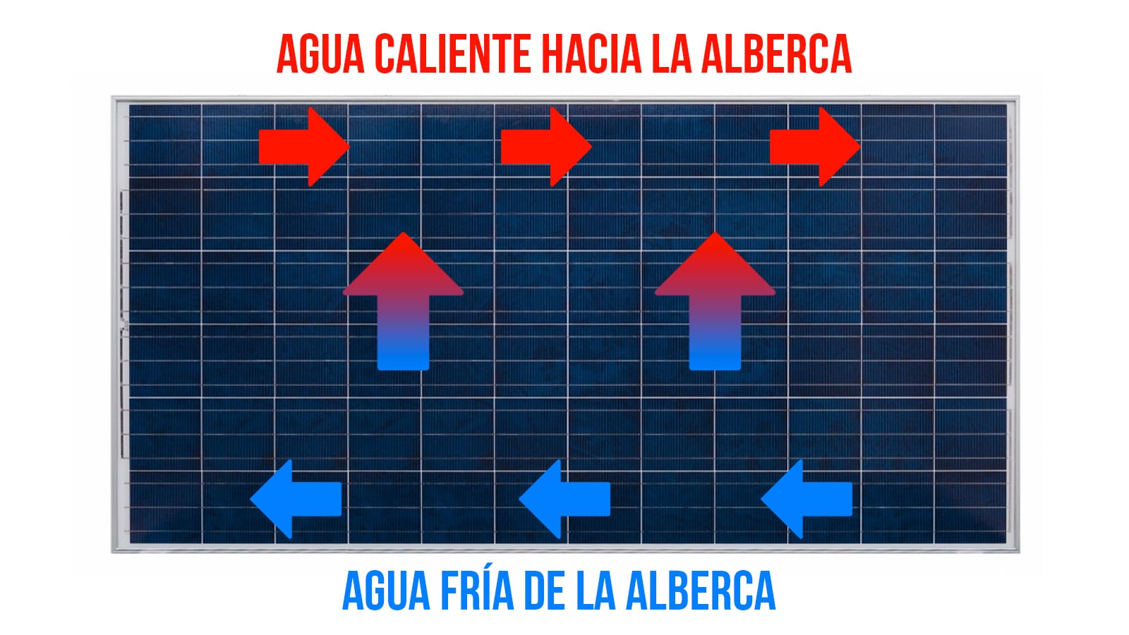 Calienta el agua de tu alberca con paneles solares - Albercas Aqua